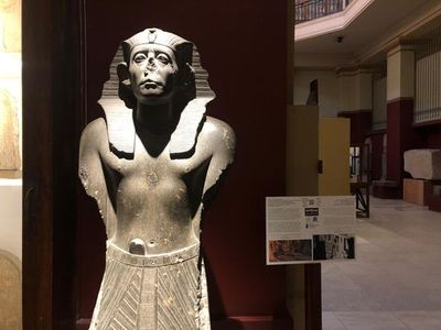 Discoveries of the Egypt Exploration Society | EES