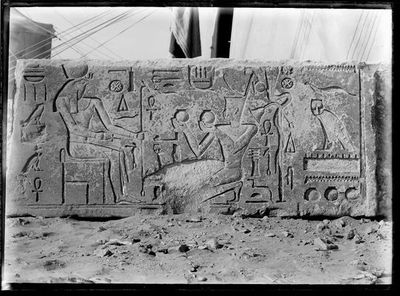 The Objects Behind the Glass-Plate Negatives | EES